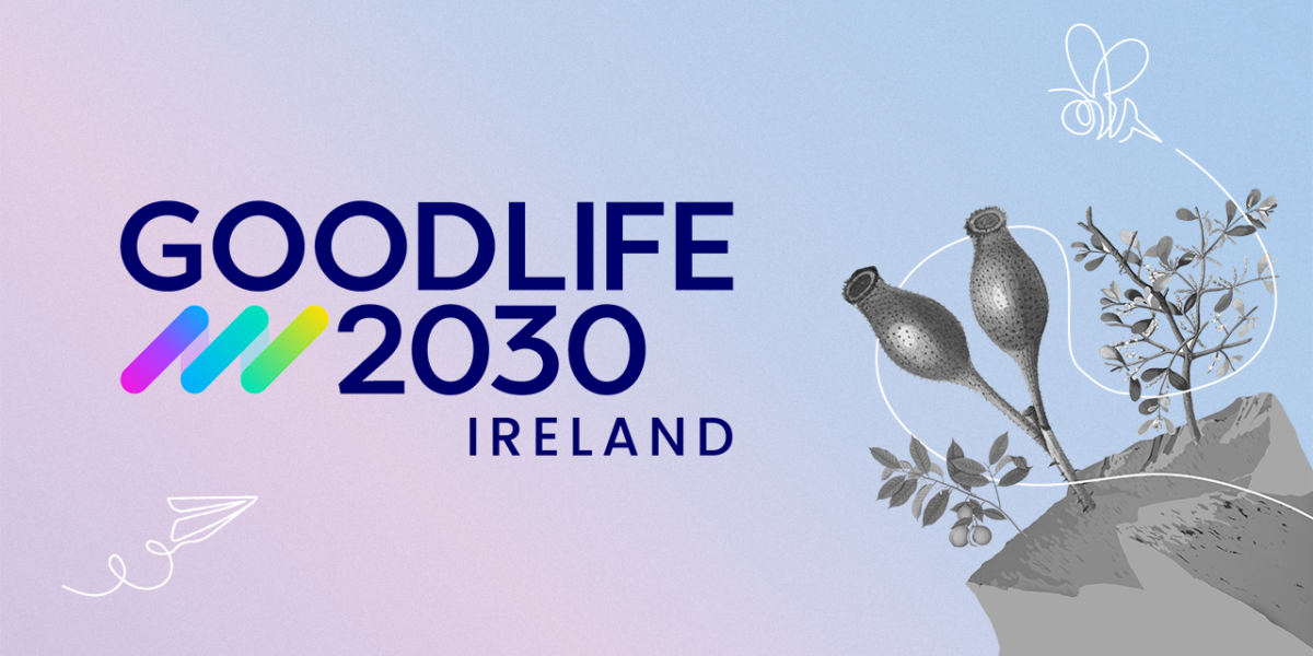 Good Life 2030 Ireland: Redefining Sustainability and Well-Being