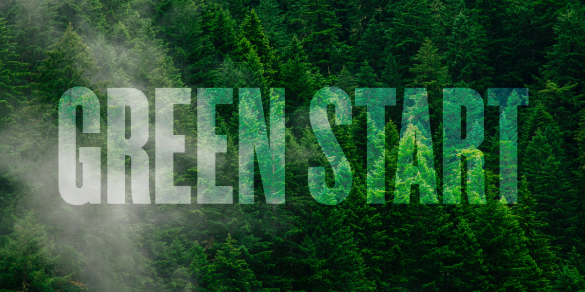Green Start: Our Ecoreview Case Study
